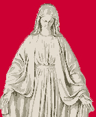 Something About Mary